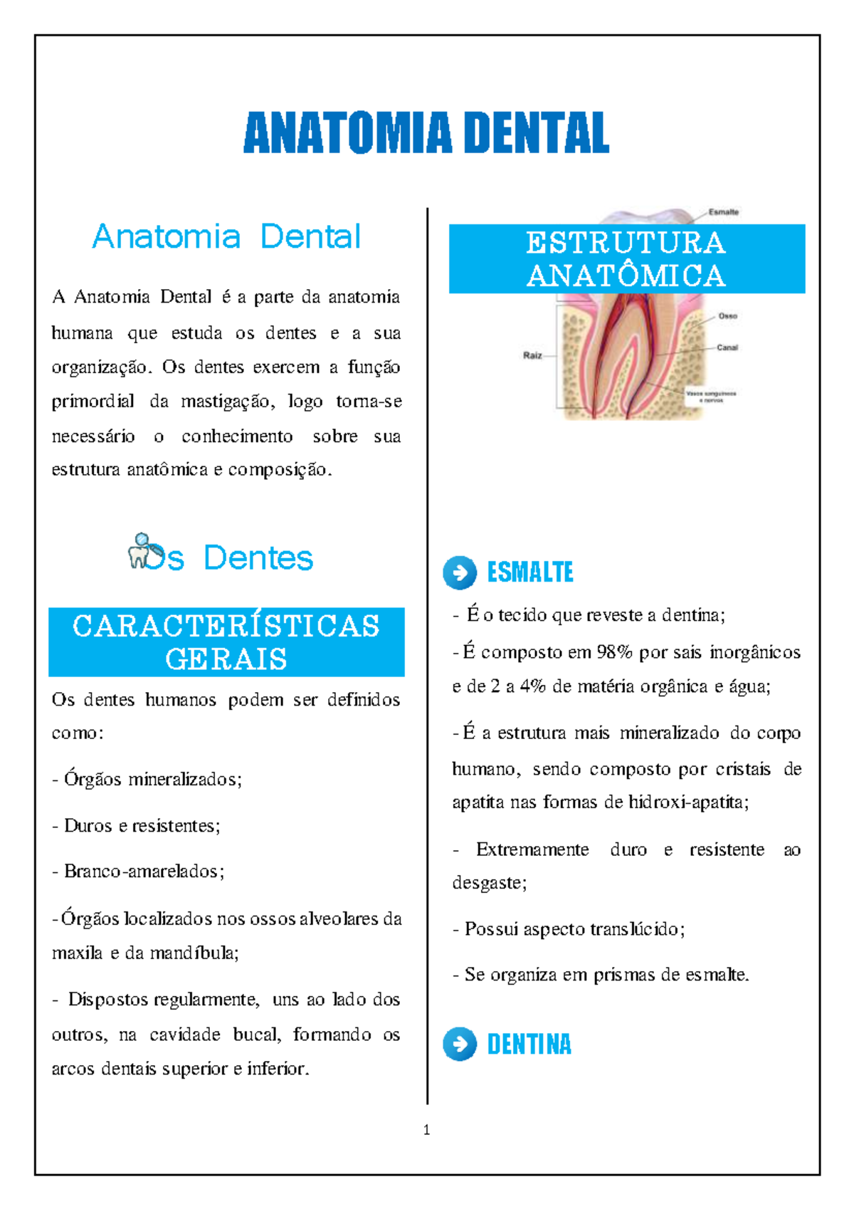 Anatomiadentalformatao-220329035736 231007 155955 - ANATOMIA DENTAL Anatomia Dental A Anatomia ...