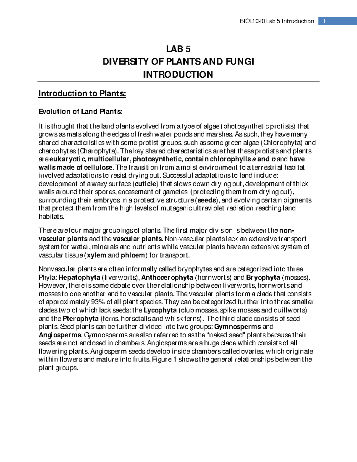 Lab 5-Introduction - hijbjbl - LAB 5 DIVERSITY OF PLANTS AND FUNGI ...