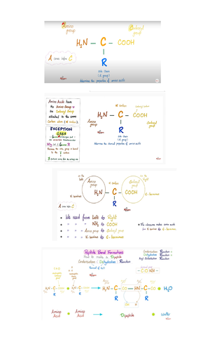 Conduct Testing and Documentation - ICT GRADE 10 TLE_ICT_CSS_ CONDUCT ...