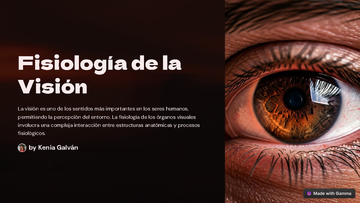 Fisiologia de la Vision - Fisiología de la Visión La visión es uno de ...