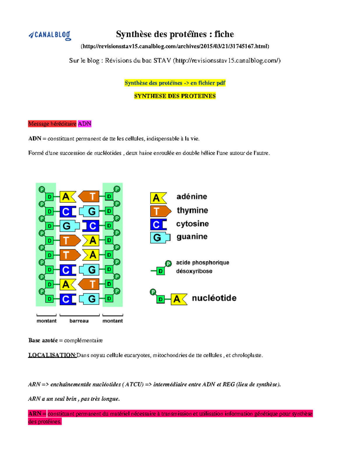 Fiches les proteines - Synthèse claire et complète - Synthèse des ...