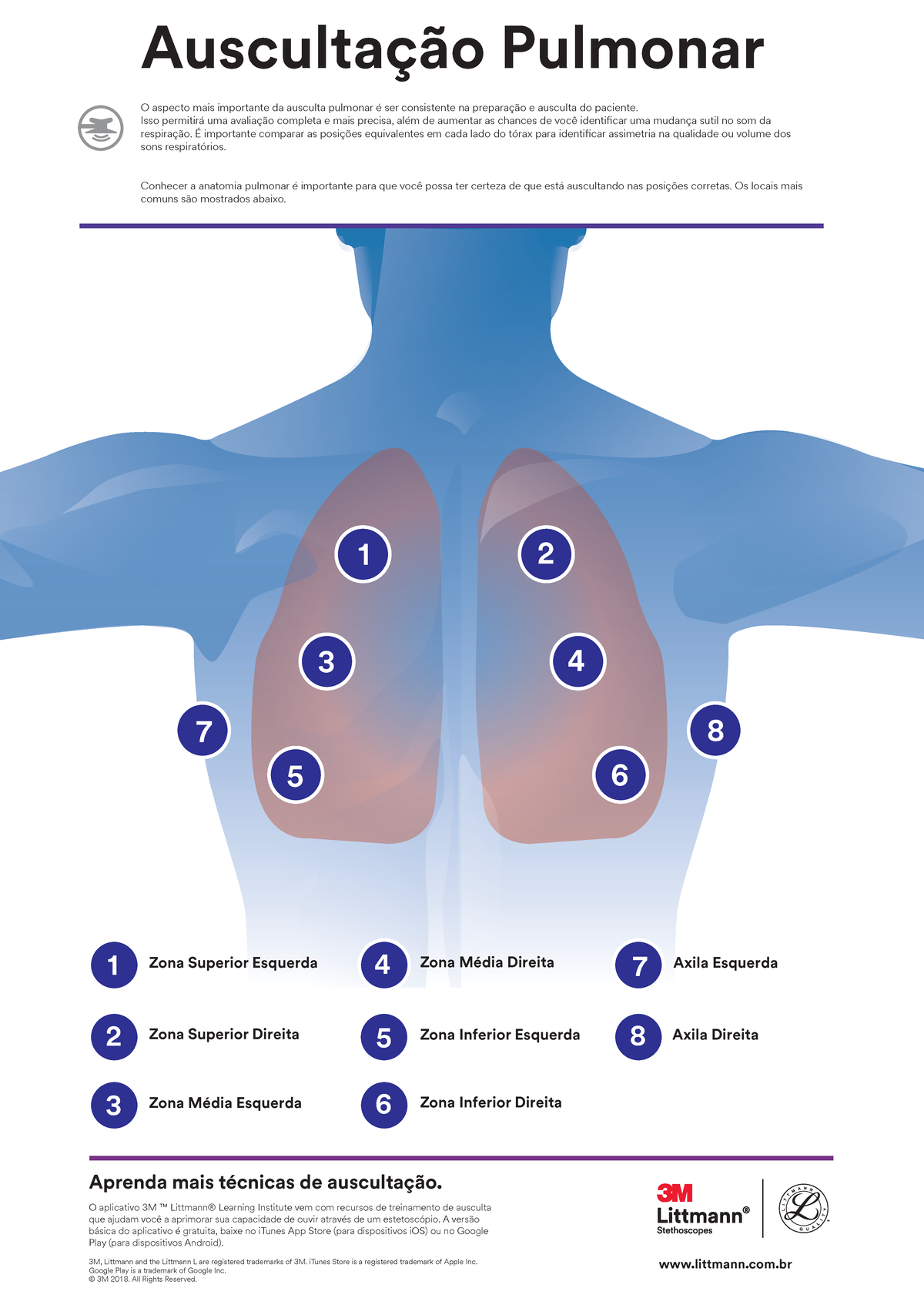 Ausculta pulmonar - Isso permitirá uma avaliação completa e mais ...