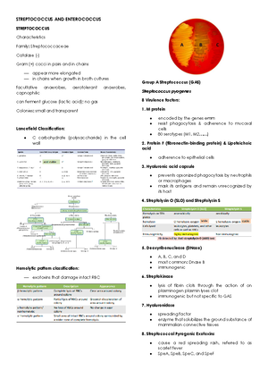 WEEK 5 Bacteriology Lecture - BACTERIOLOGY LECTURE WEEK 5 Workflow in ...