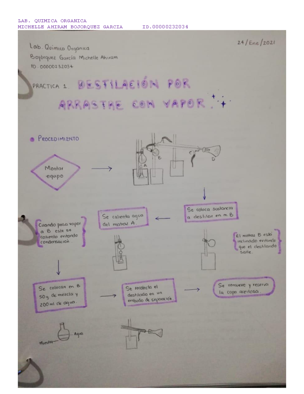 P1 Michelle Bojorquez Ma - MICHELLE AHIRAM BOJORQUEZ GARCIA ID ...