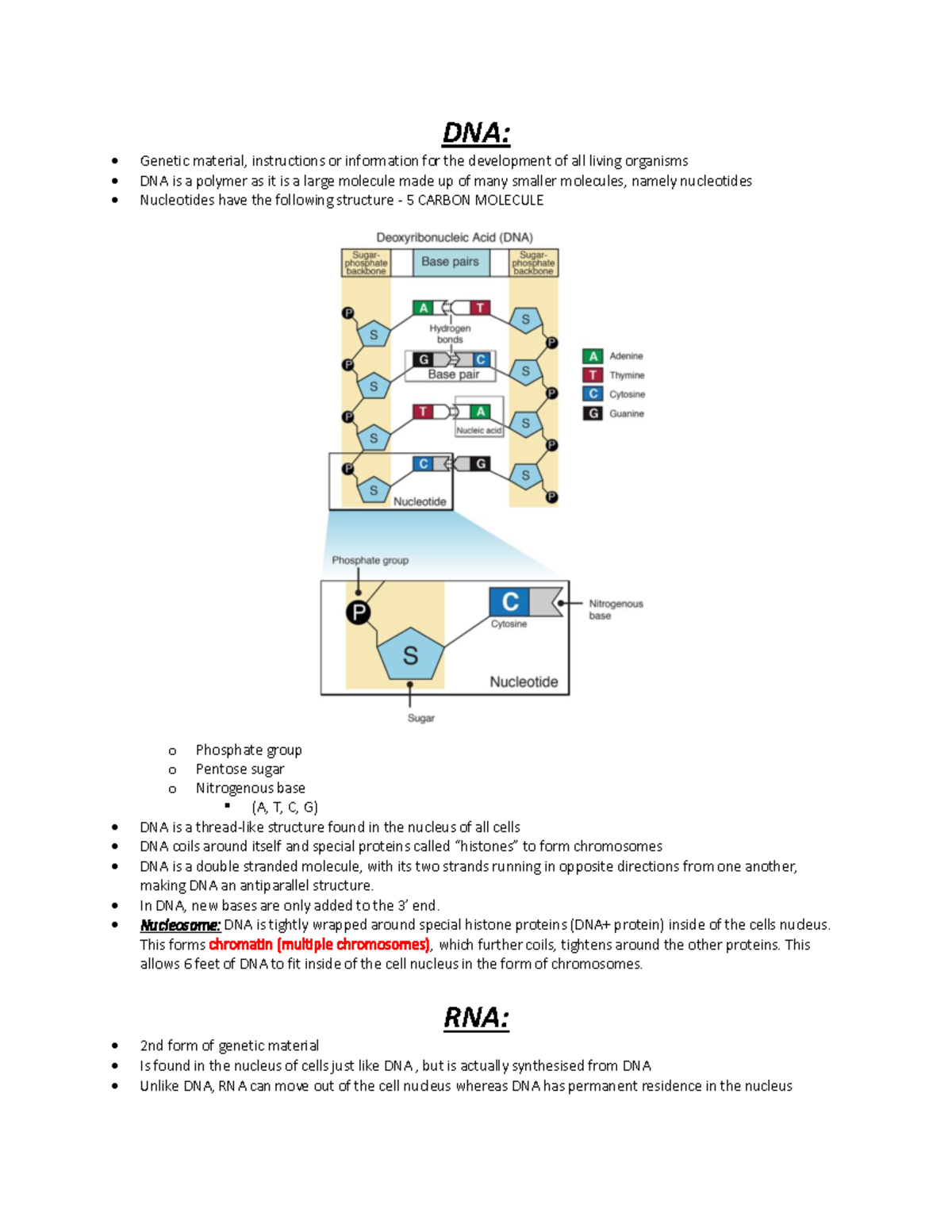 Gene expression addition - DNA: Genetic material, instructions or ...