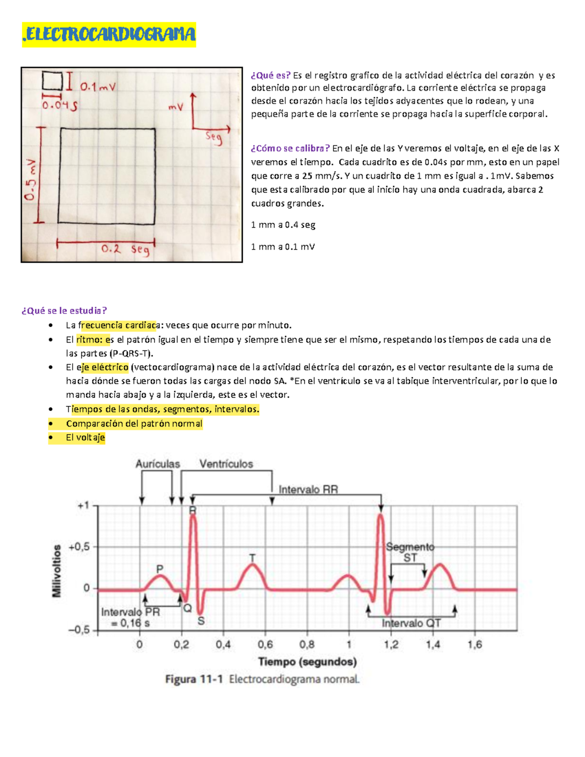 Cuadroekg - cuadro de apuntes para electrocardiograma ...