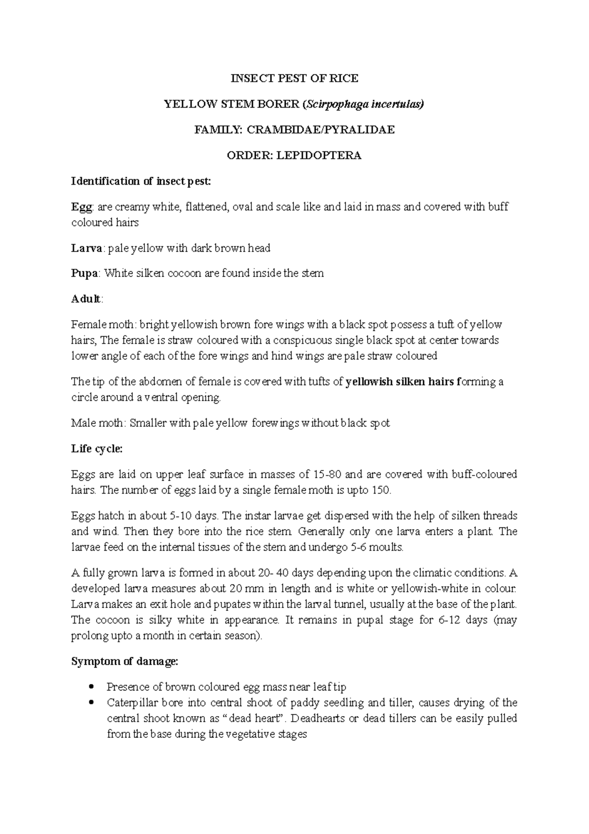 1 Insect PEST OF RICE - INSECT PEST OF RICE YELLOW STEM BORER ...