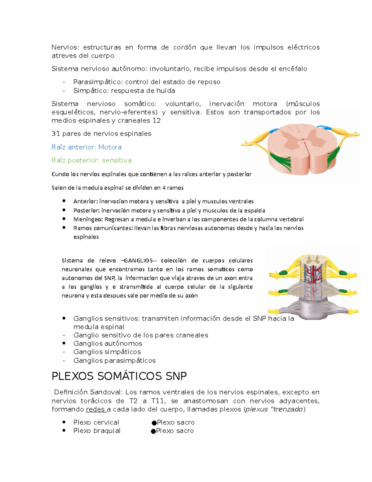 Plexos - resumen - Nervios: estructuras en forma de cordón que llevan ...