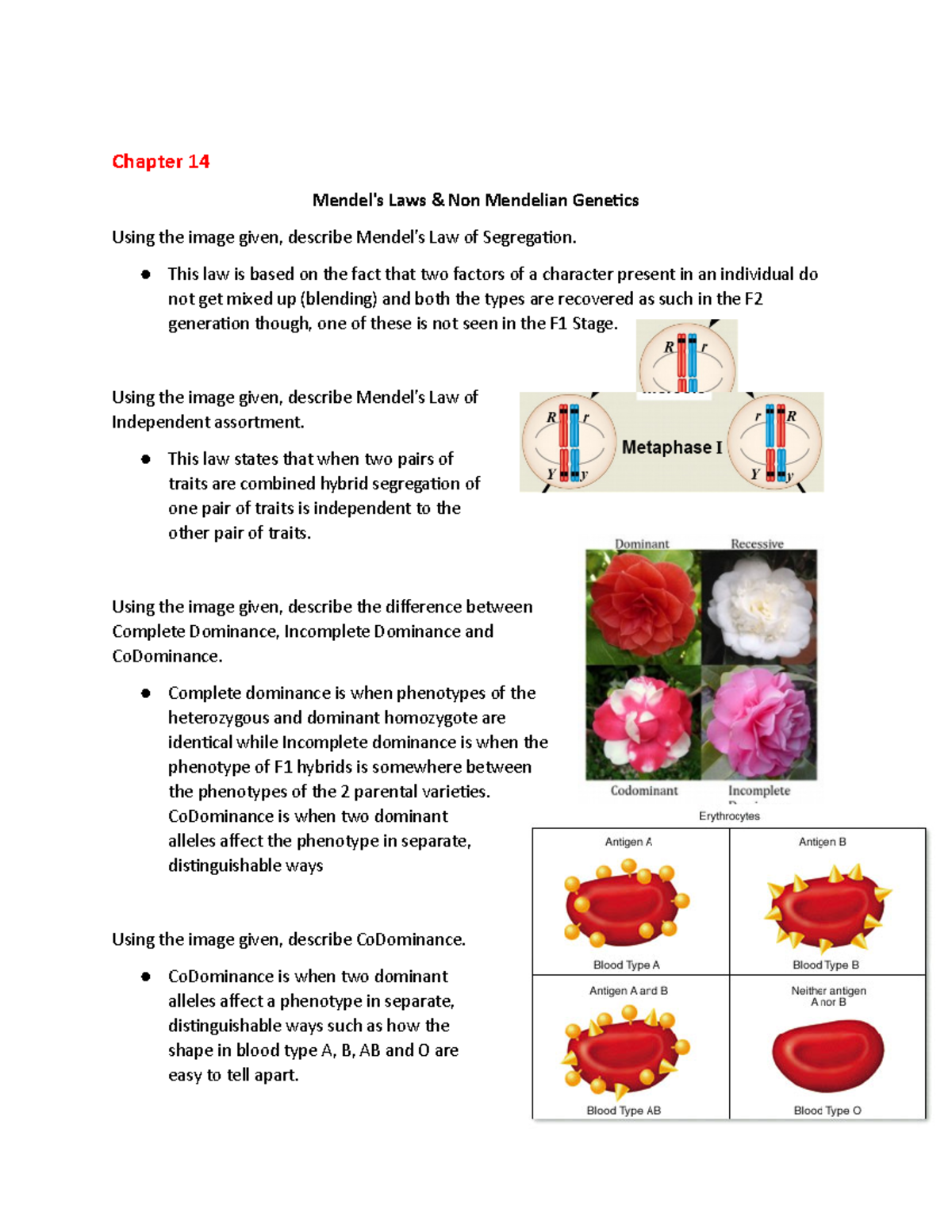 BIO 181 Hw 10 - Chapter 14- Chapter 14 Mendel's Laws & Non Mendelian ...