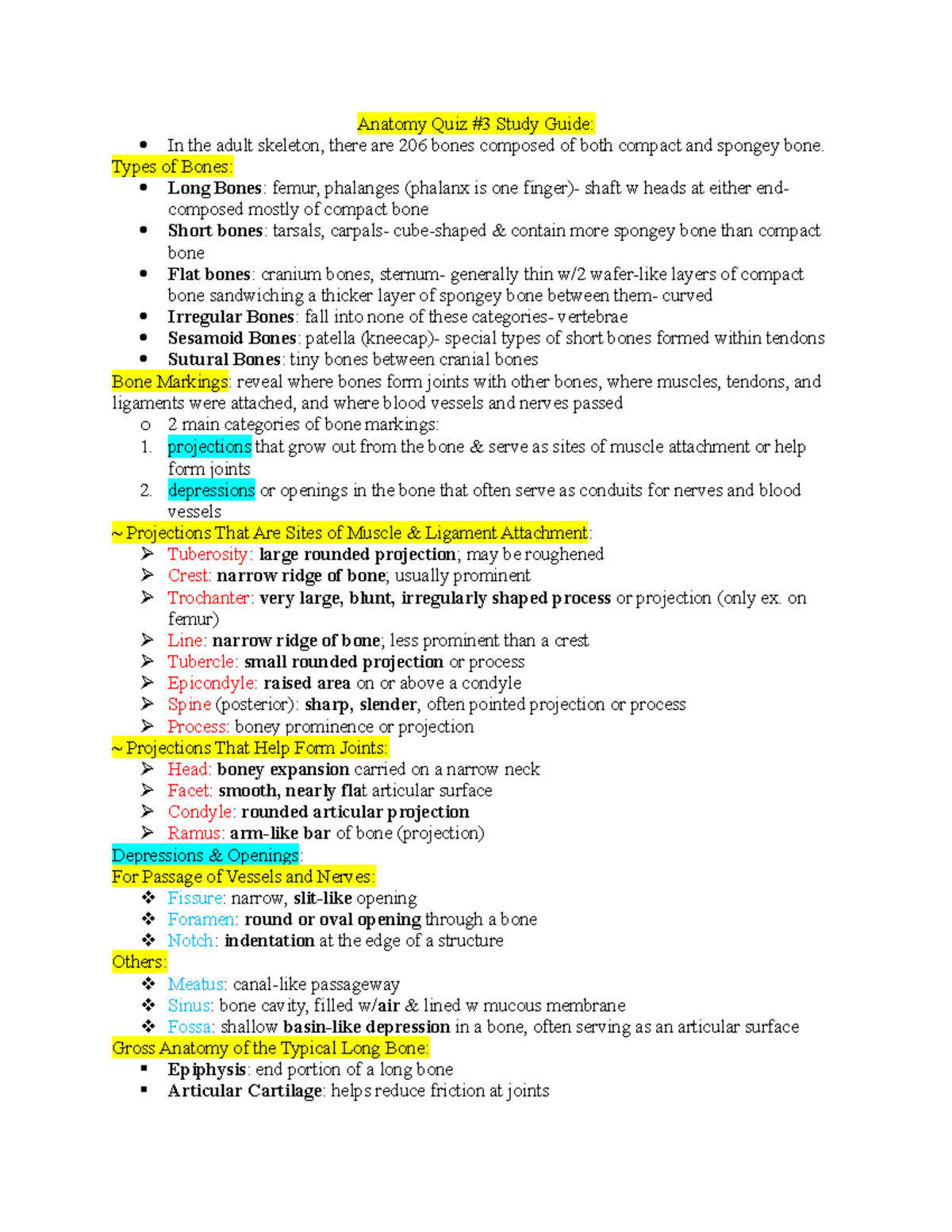 Anatomy Quiz study guide lab - Anatomy Quiz #3 Study Guide: In the ...