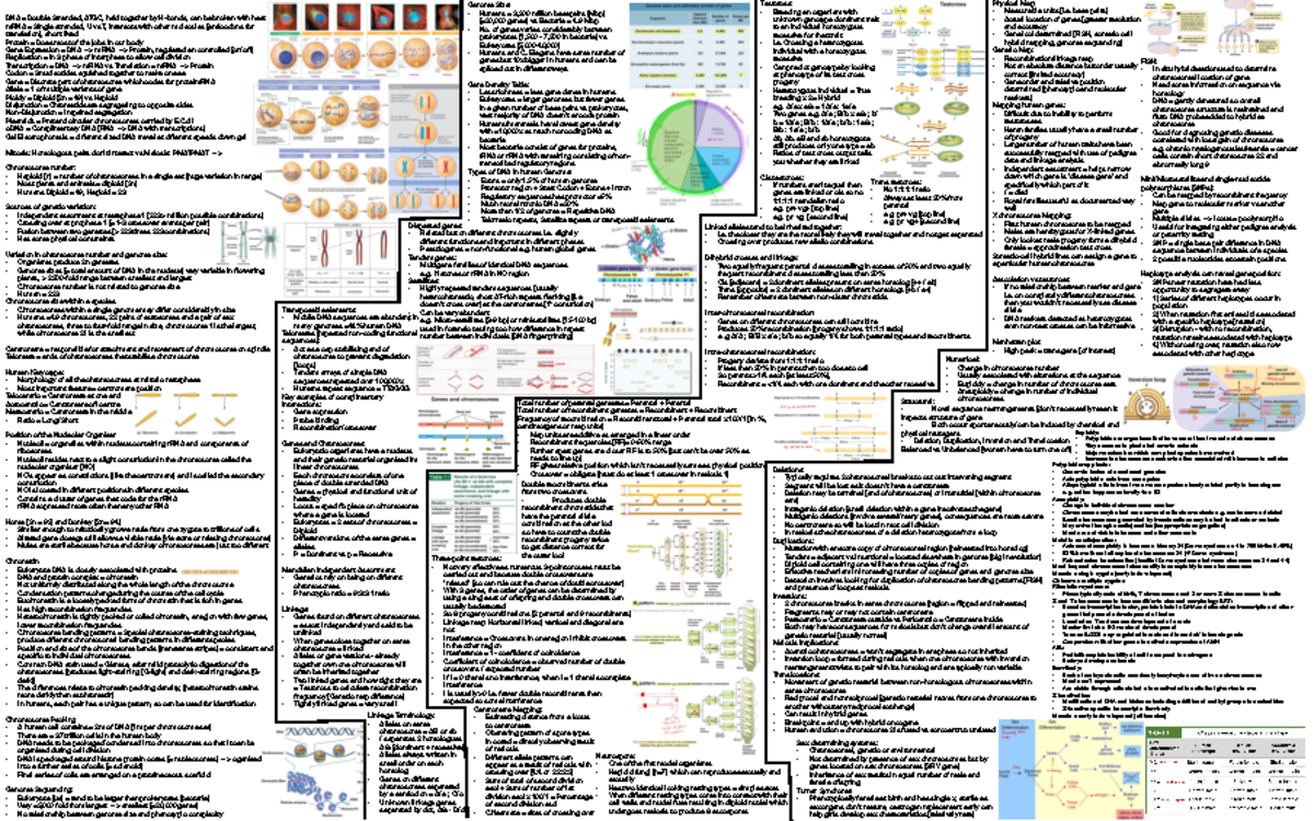 Biosci 202 Cheat Sheet Test 1 - DNA = Double Stranded, ATGC, held ...