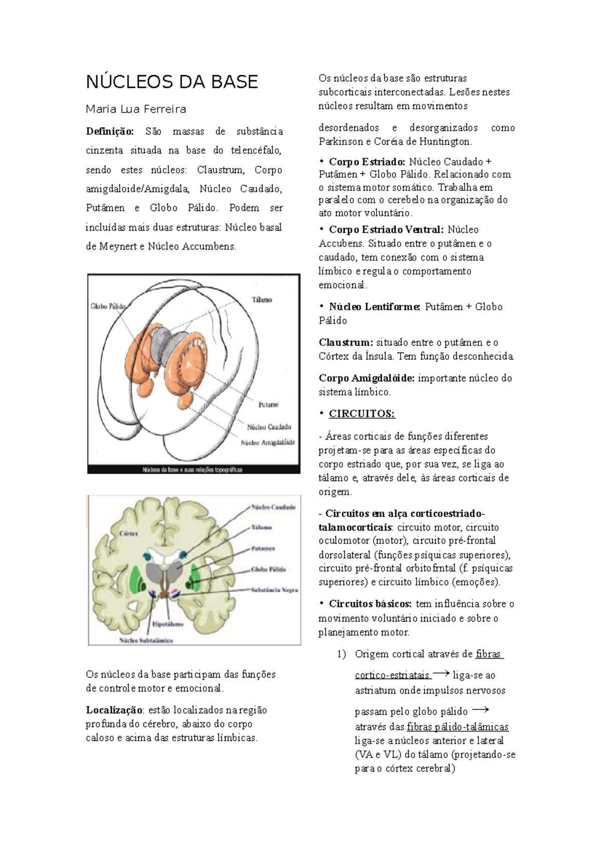Núcleos DA BASE - Anotações neuroanatomia - Biologia - CEFET-MG - Studocu