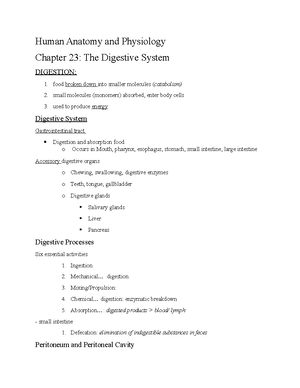 Chapter 25 Study Guide - The Renal System - Human Anatomy and ...