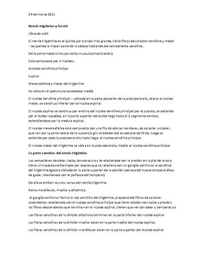 Pares Craneales - Resumen - Warning: TT: undefined function: 32 Warning: TT: undefined function ...