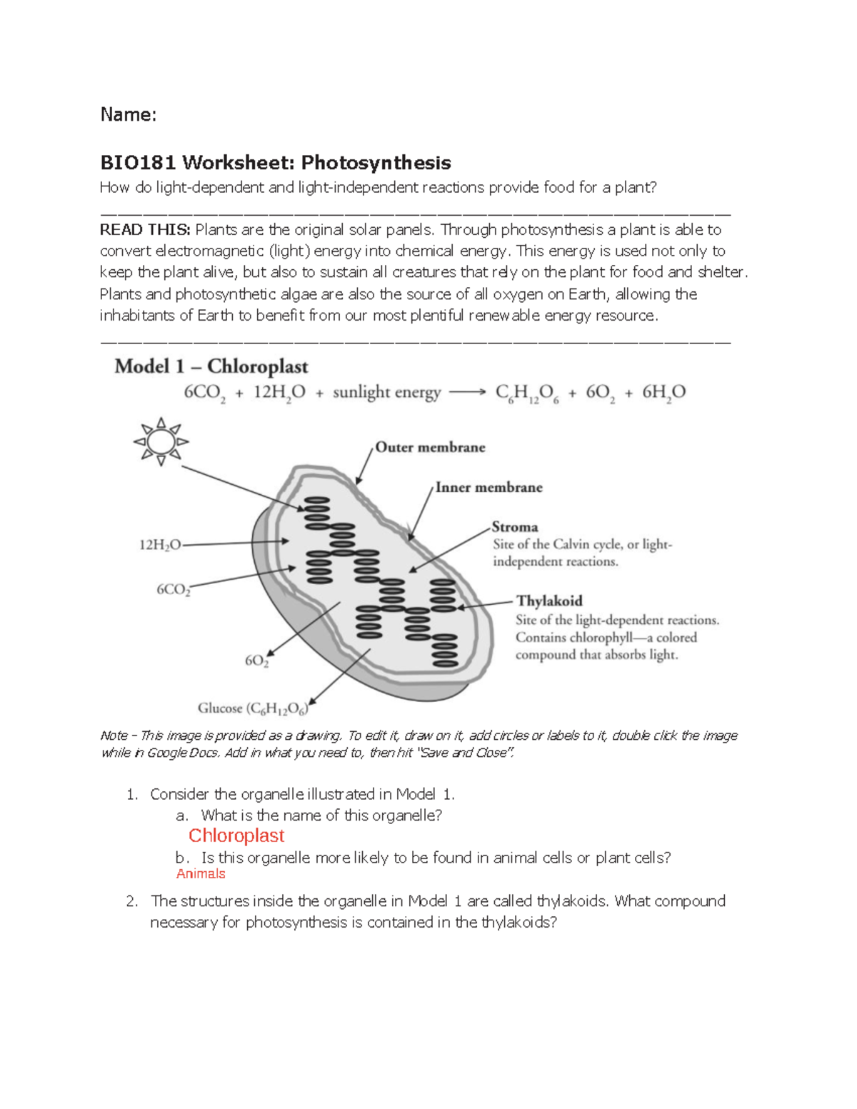 BIO181 Photosynthesis Worksheet - Name: BIO 181 Worksheet ...
