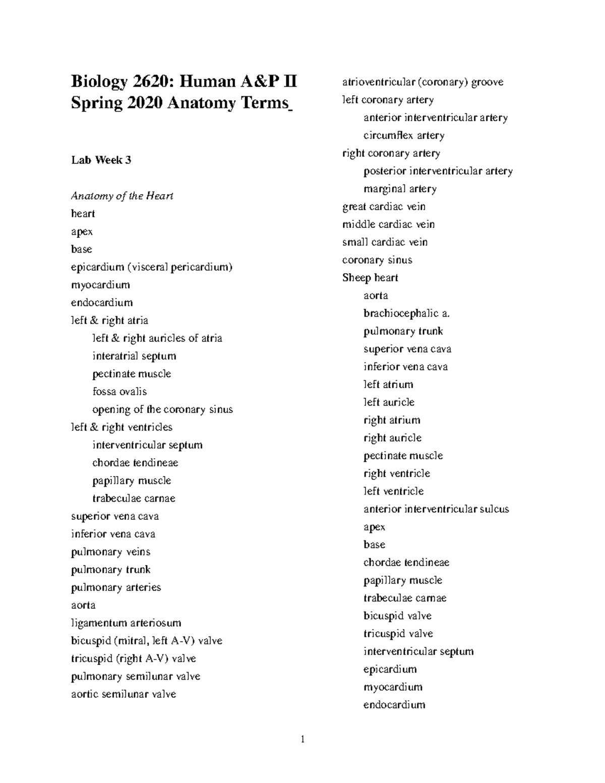 A and P II Anatomy Lab Terms 2020 - Biology 2620: Human A&P II Spring ...