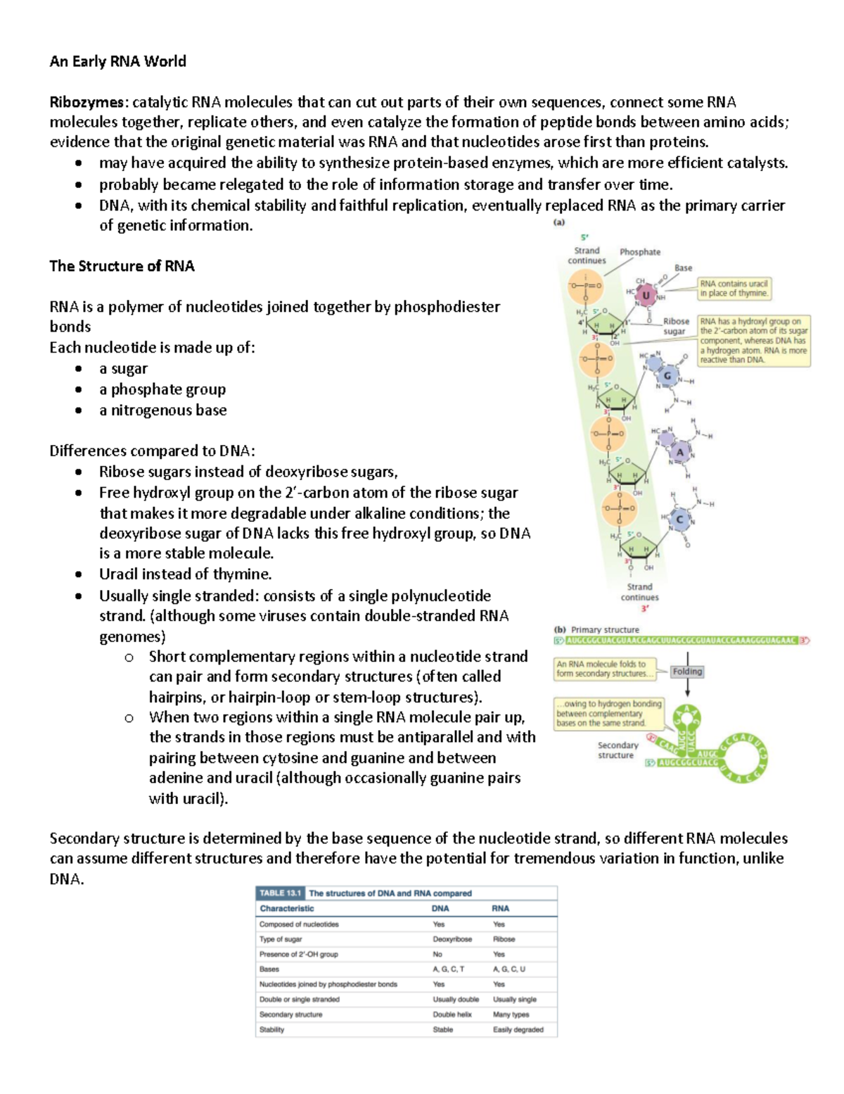Chapter 13 - Transcription - An Early RNA World Ribozymes : catalytic ...