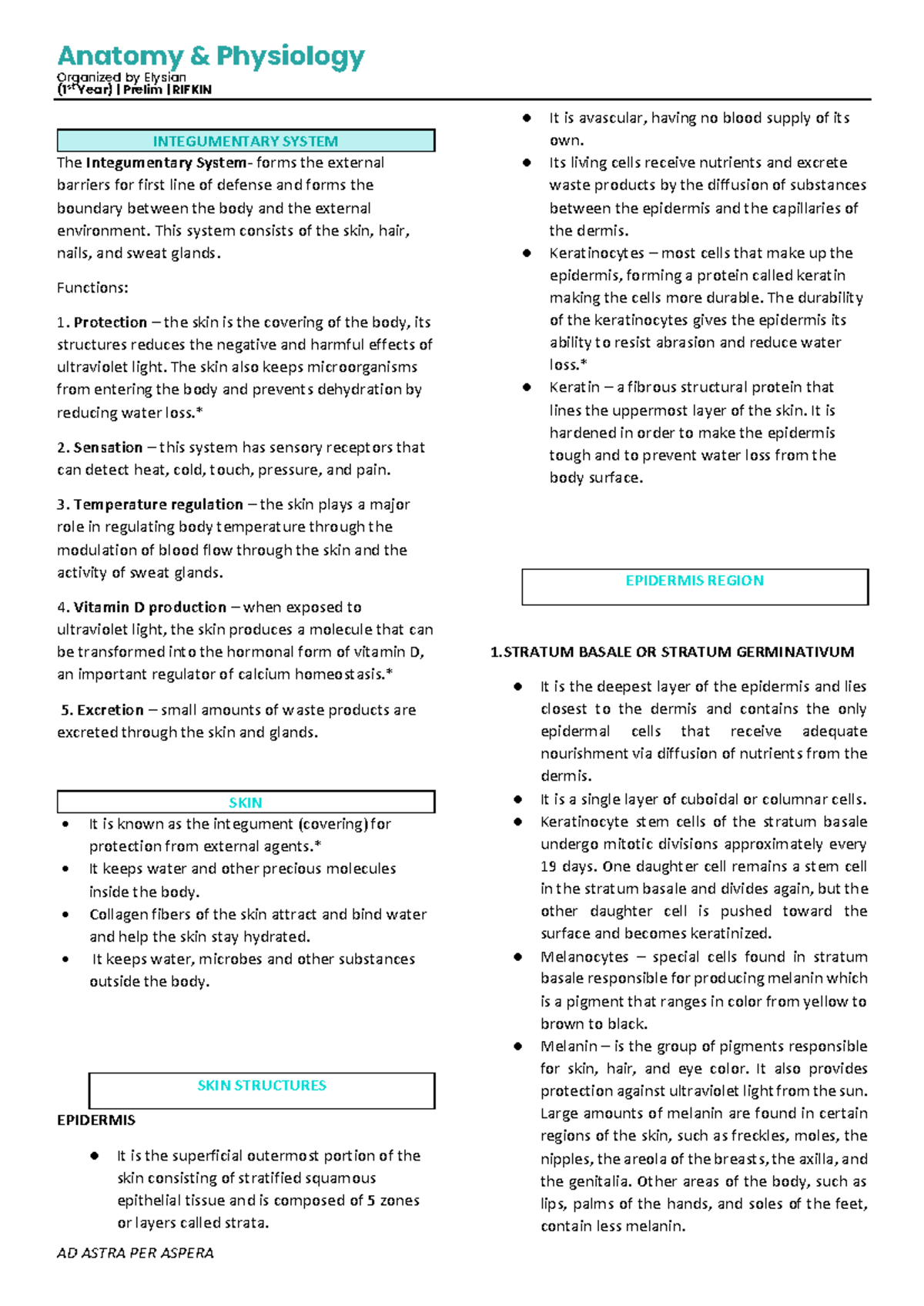 Anaphy- Integumentary System copy - Organized by Elysian (1st Year ...