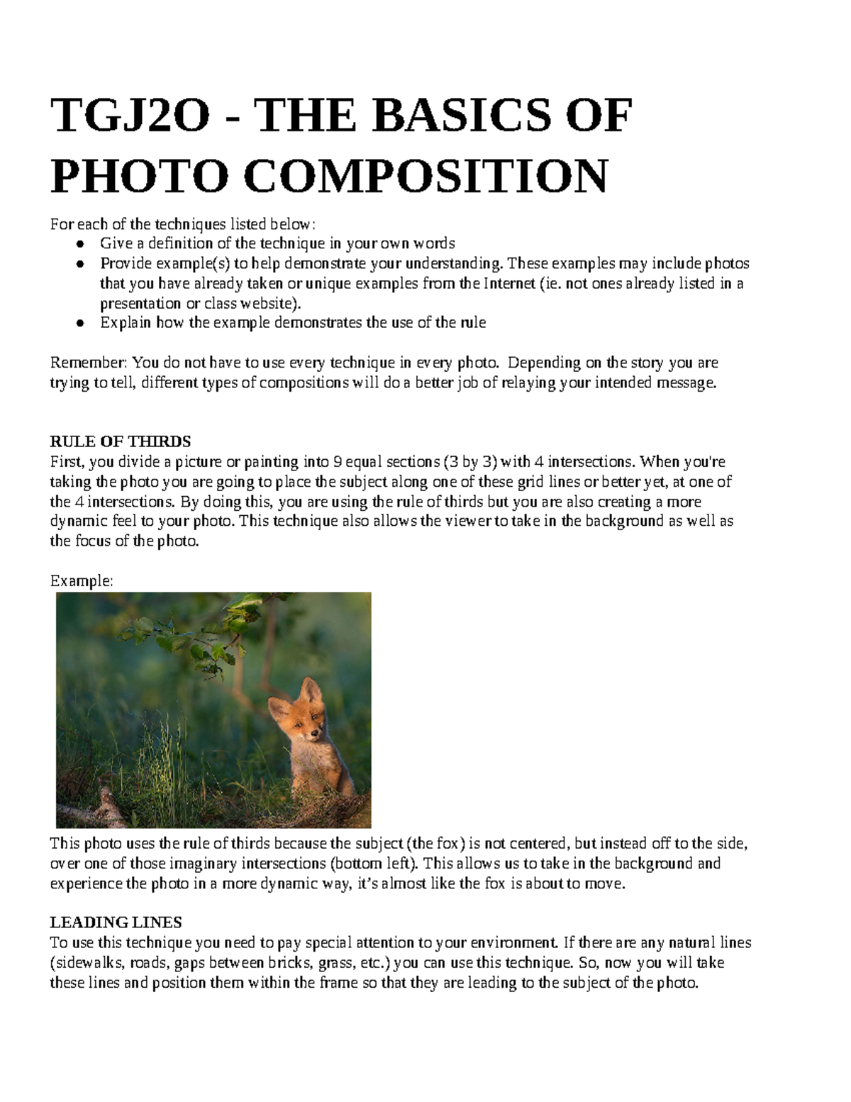 Composition Rules - TGJ2O - THE BASICS OF PHOTO COMPOSITION For each of ...
