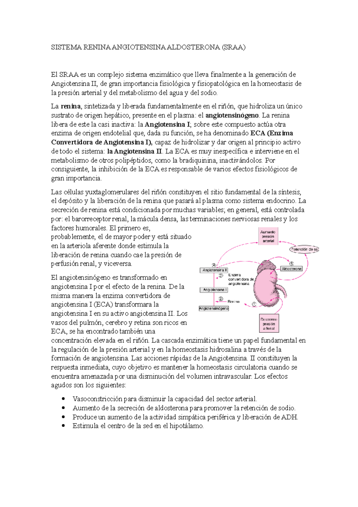 Sistema Renina Angiotensina Aldosterona - SISTEMA RENINA ANGIOTENSINA ...