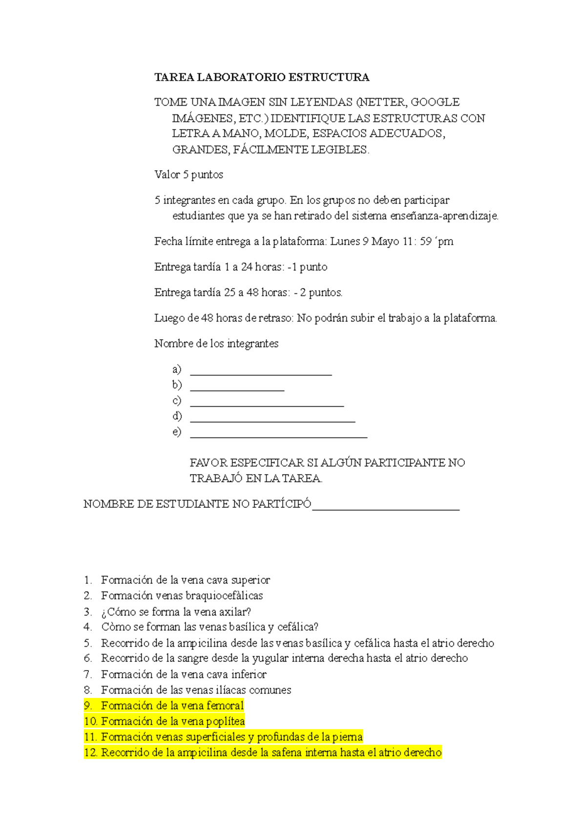 Tarea LAB. Valor 5 Puntos. venas - TAREA LABORATORIO ESTRUCTURA TOME UNA IMAGEN SIN LEYENDAS ...