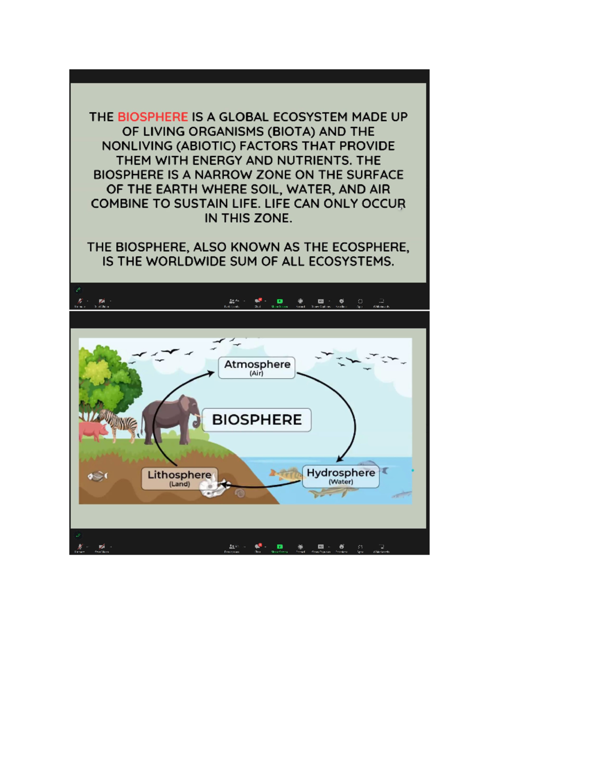 Doc3 - Business Ad - Studocu