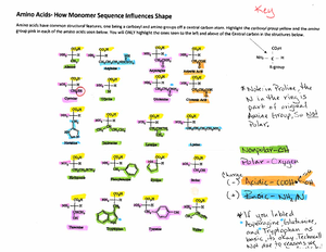 Bacterial Identification Lab Worksheet Student - BioInteractive ...