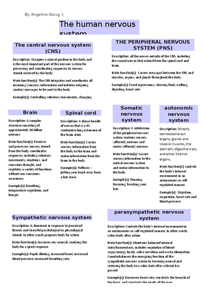 Intro Psych: Brain and Mind Subject Notes - Introductory Psychology ...