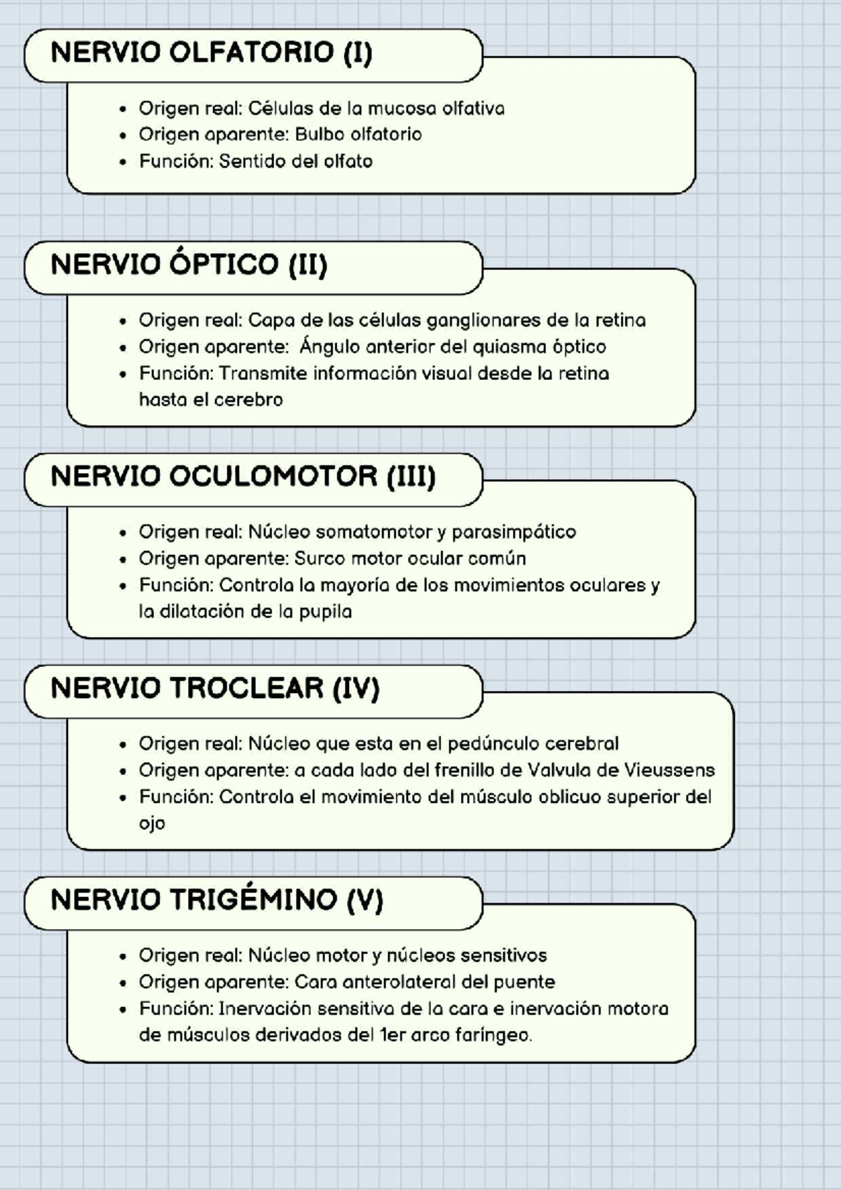 Pares craneales origen-función - Anatomía humana - Studocu