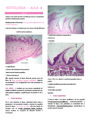 Histologia - TGI - Histologia O plexo de Meissner, também conhecido ...