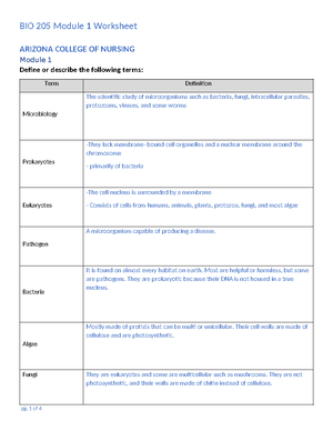 BIO 205 Module 8 Worksheet TS - BIO 205 Module 8 Worksheet ARIZONA ...