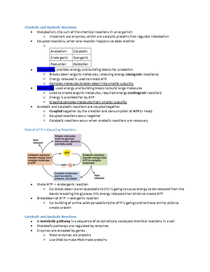 Chapter 004 - Deprecated API usage: The SVG back-end is no longer ...