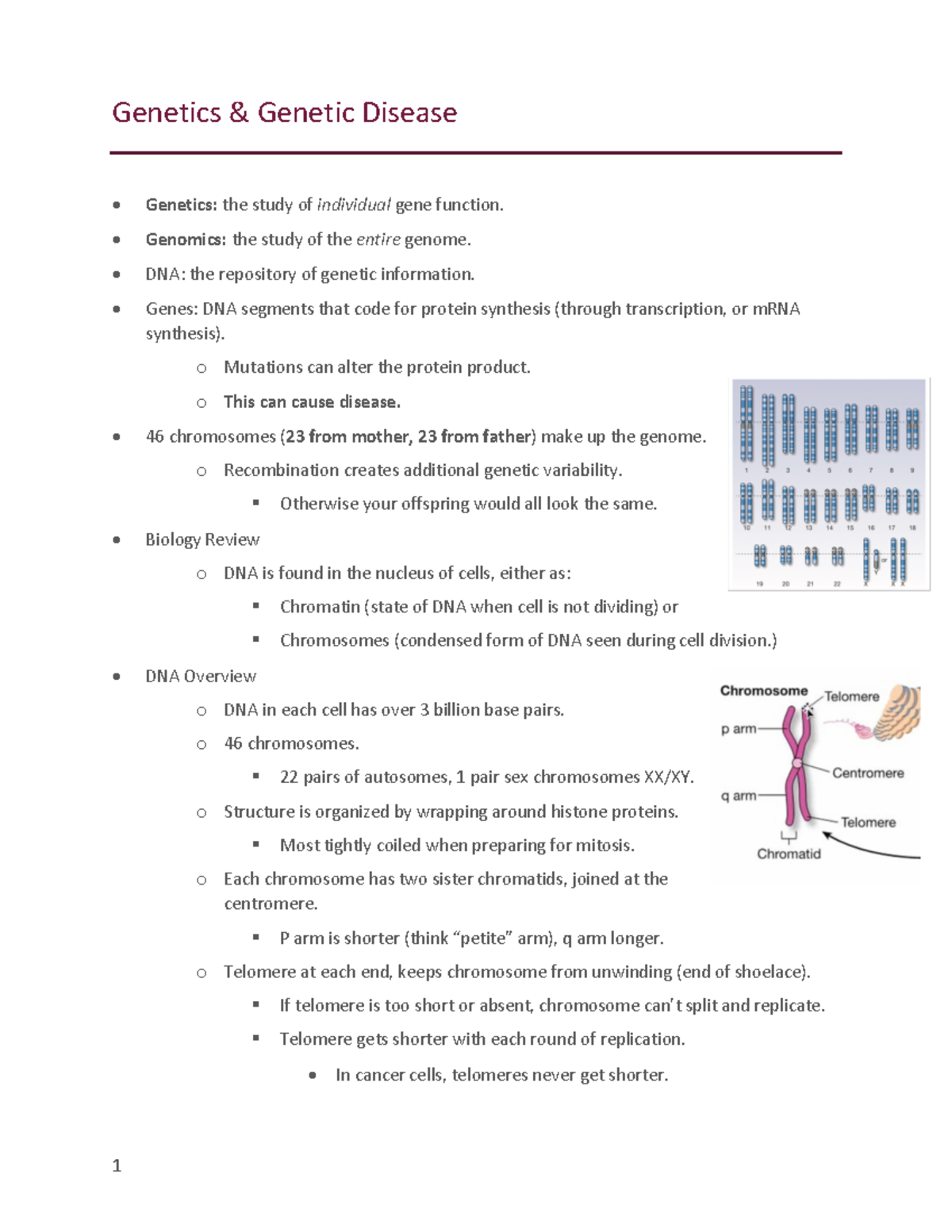 Genetics & Genetic Disease Notes - Genetics & Genetic Disease Genetics ...