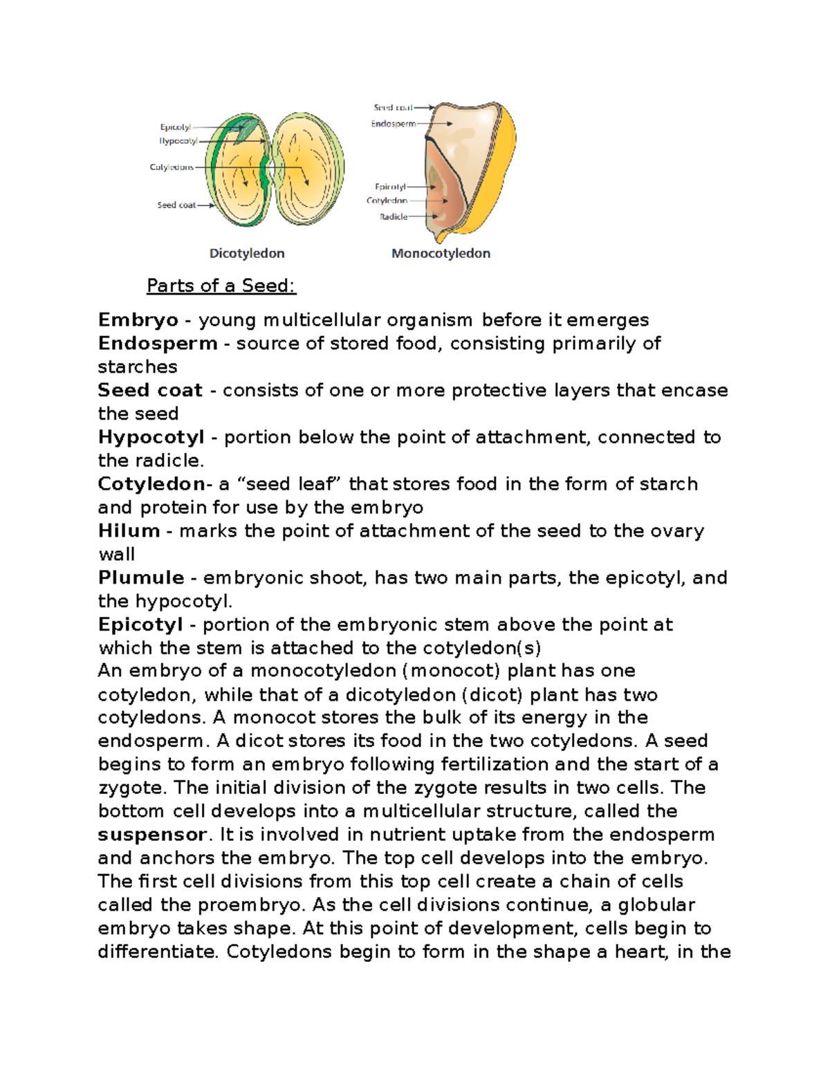 Seeds 1 - Very important condensed notes for semester lab - Parts of a ...