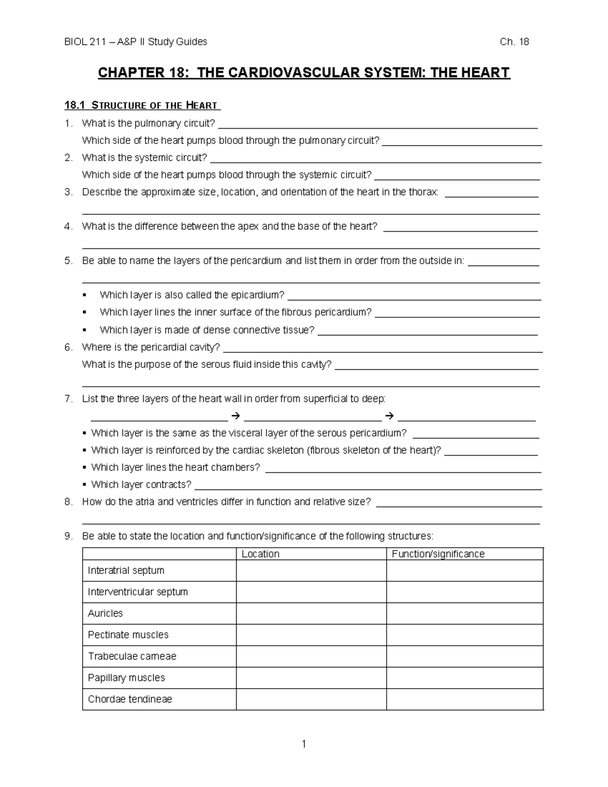 CH 18 CV System - CHAPTER 18: THE CARDIOVASCULAR SYSTEM: THE HEART 18 ...