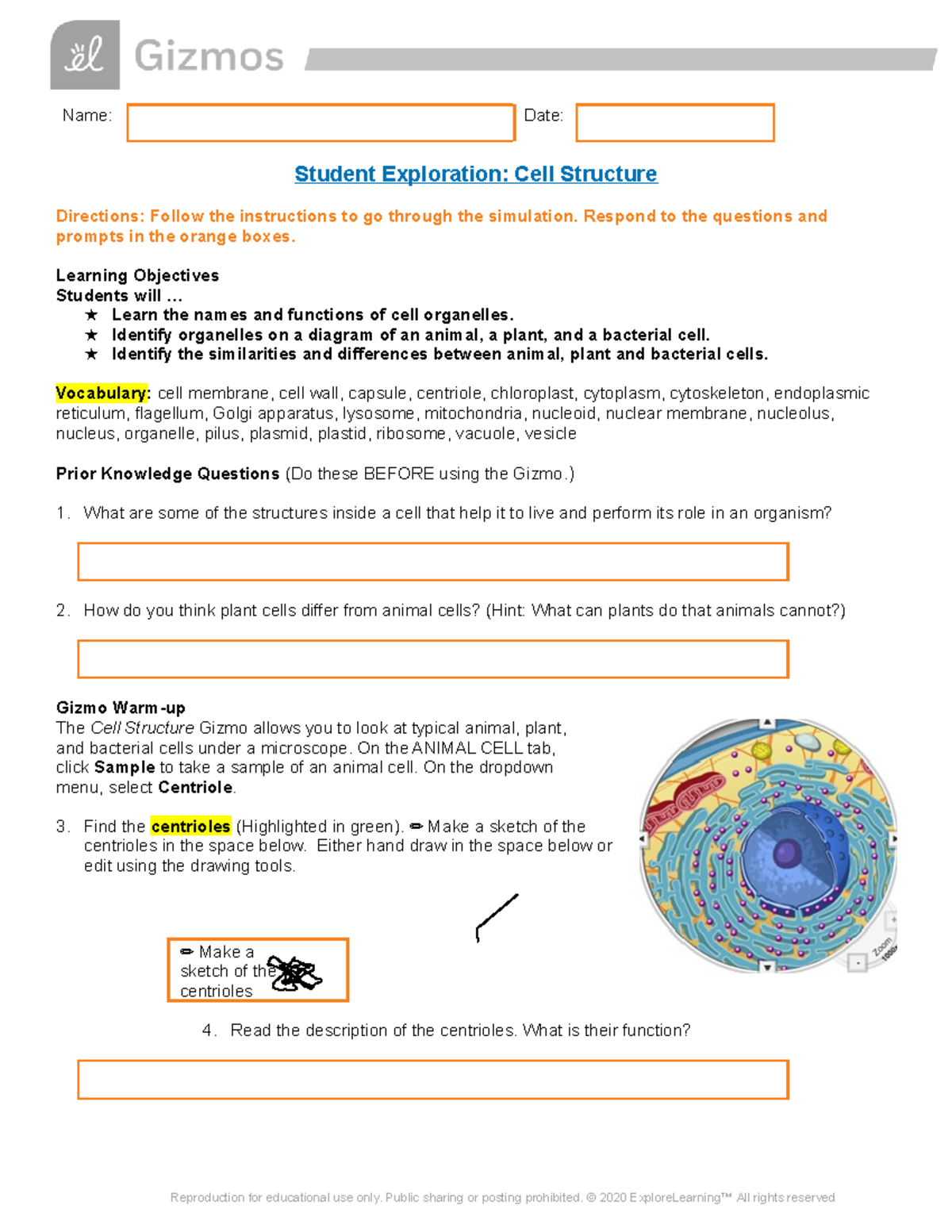 Kason Steward - 14 - ddddd - Name: Date: Student Exploration: Cell ...