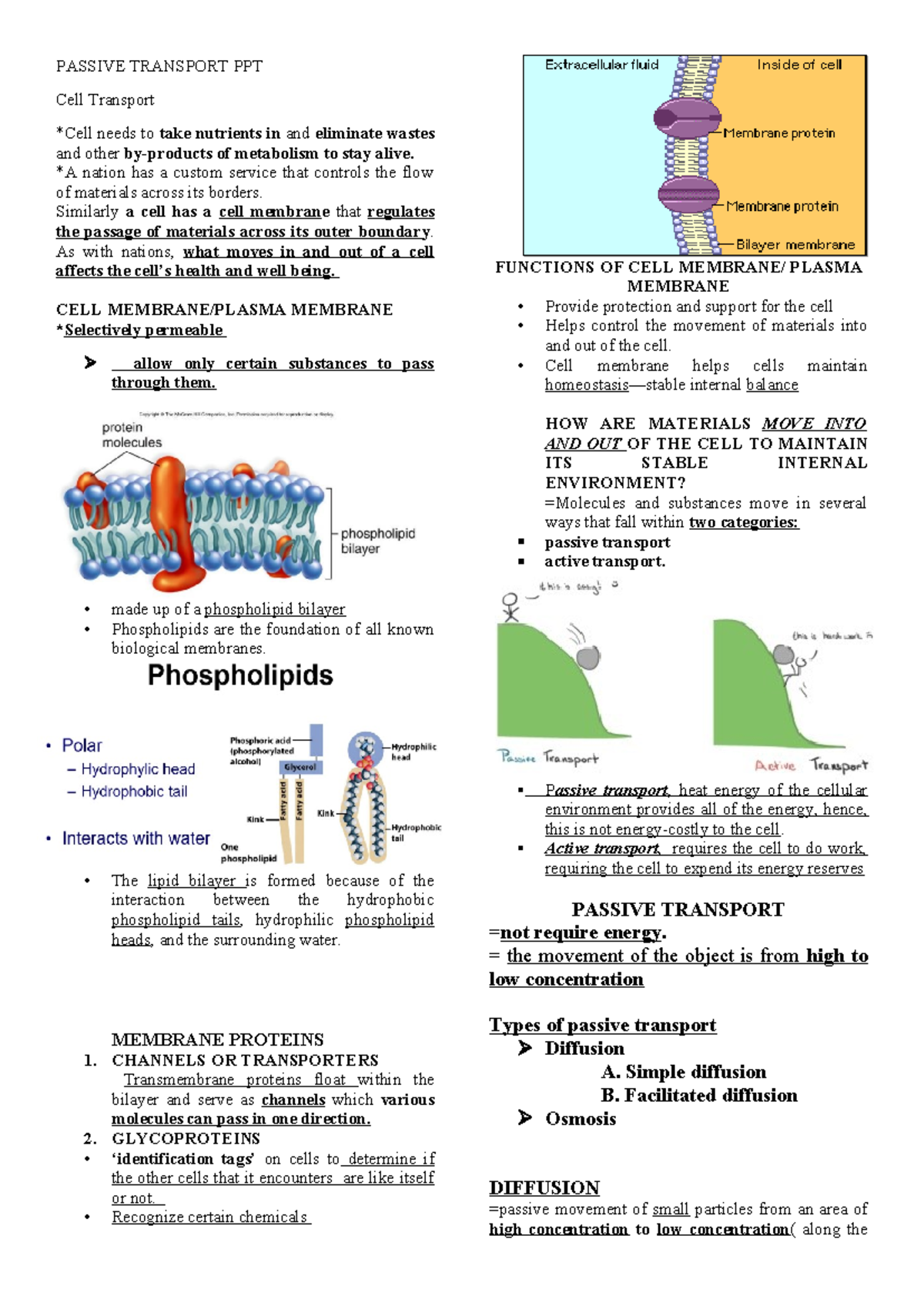 2nd-Genbio-Reviewer - reviewer - PASSIVE TRANSPORT PPT Cell Transport ...
