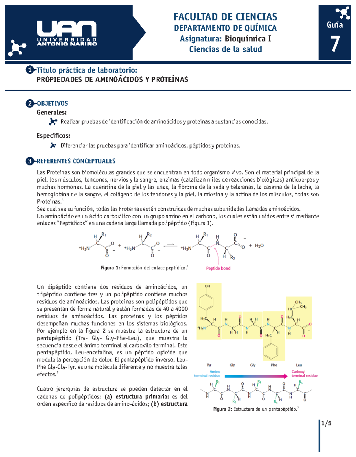 7 Propiedades de los amino ácidos con ejercicios y practicas incluyendo ...
