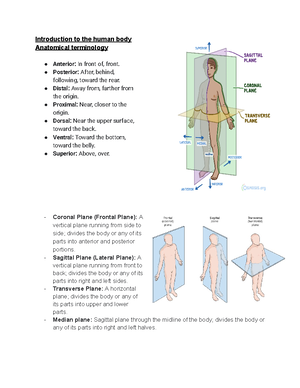Chapter 4 Homework-1 3 - Tissues - ####### 55 This chapter introduces ...