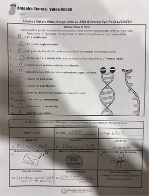Copy of Diffusion SE gizmo - Name: Date: Student Exploration: Diffusion ...