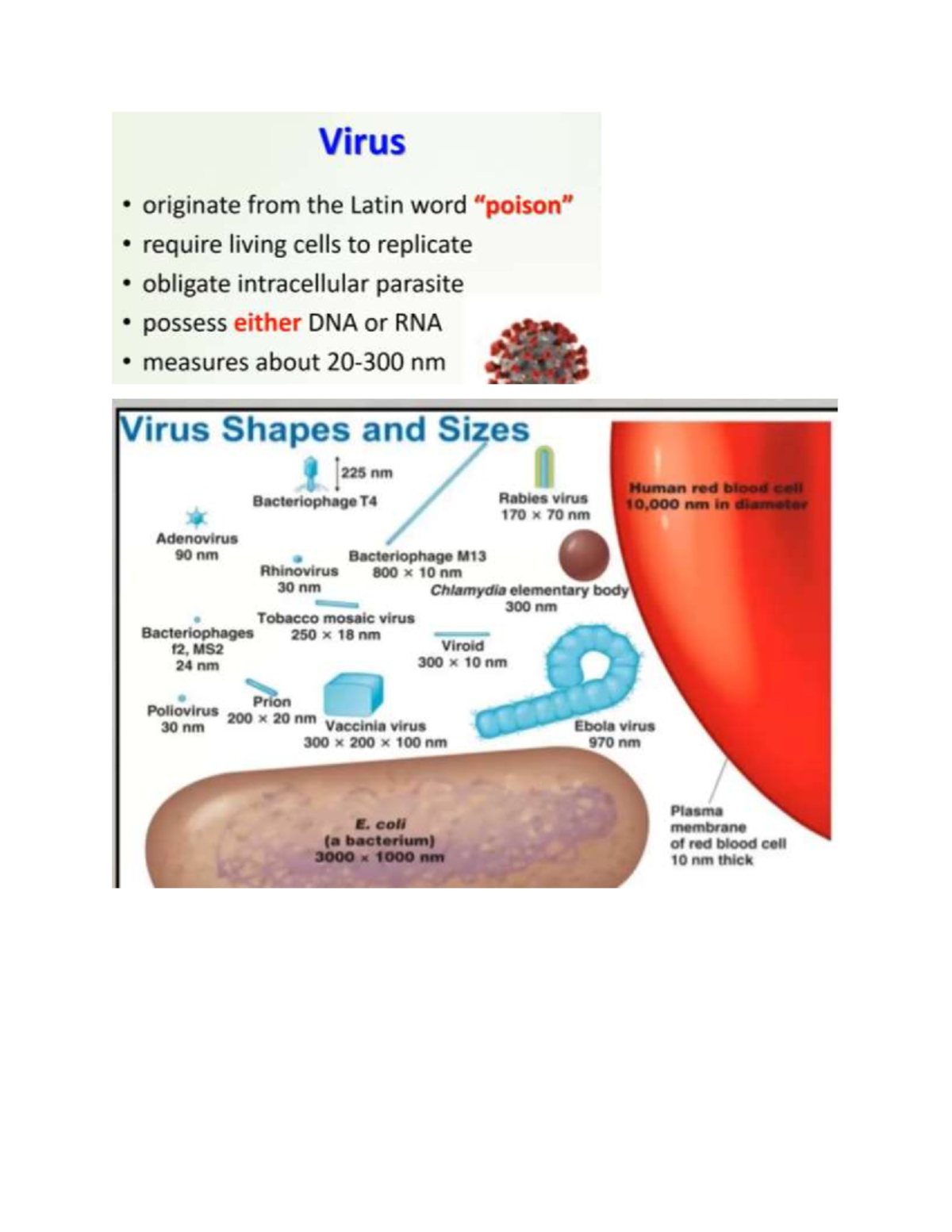 Lecture Notes_A - Virus originate from the Latin word “poison” require ...