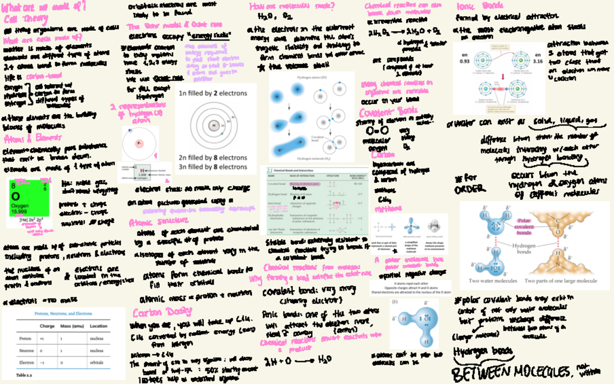 Midterm 2 - lecture notes - What are we made of? orbitals: electrons ...
