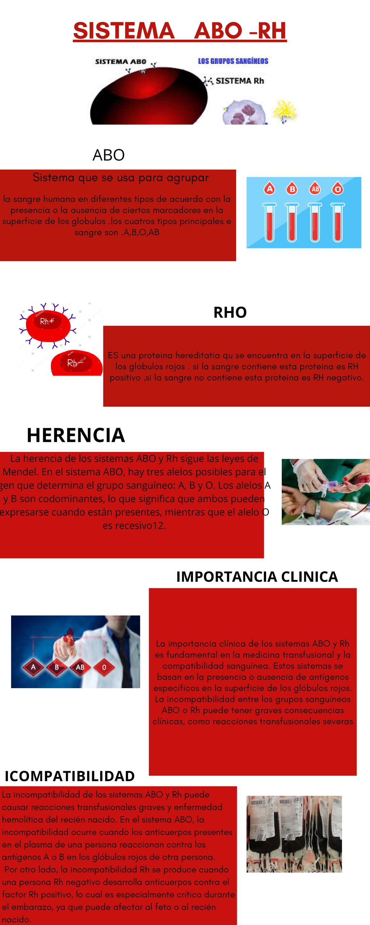 Infografía Sistemas ABO - la sangre humana en diferentes tipos de ...