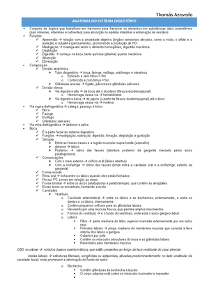 Sistema Respiratório - Netter - Imagens anatomia - Anatomia - SISTEMA ...