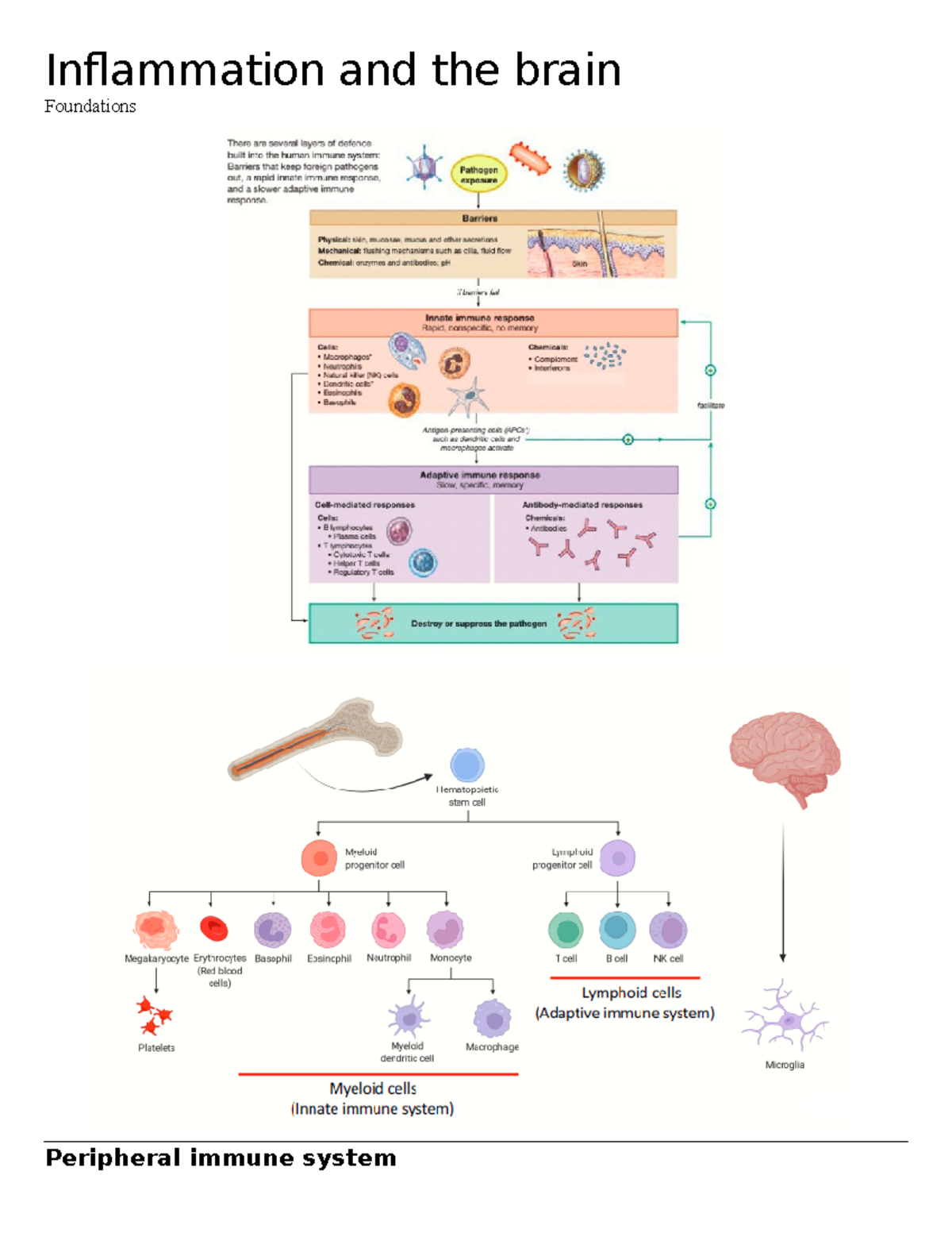 5. Inflammation and the brain - Inflammation and the brain Foundations ...