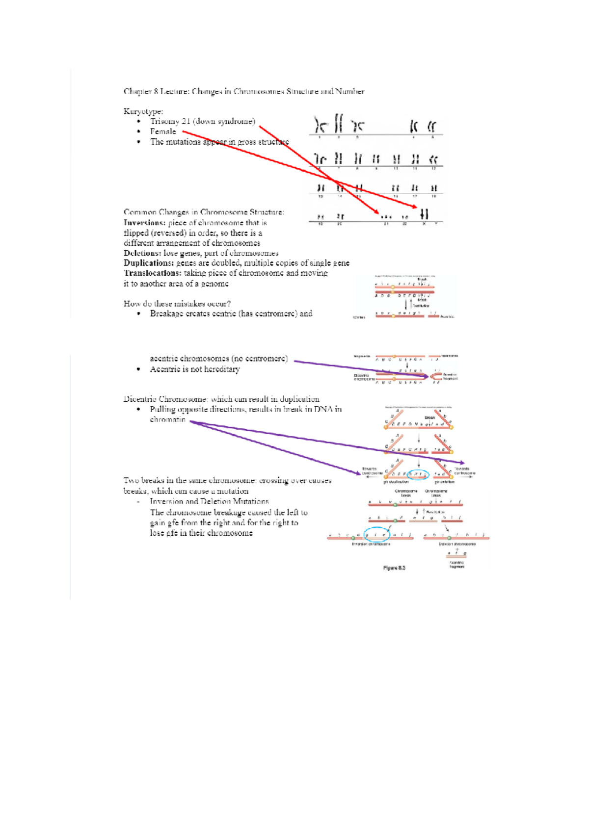 Chapter 8 Professor Croshaw Lecture Notes in detail and explained - PCB ...