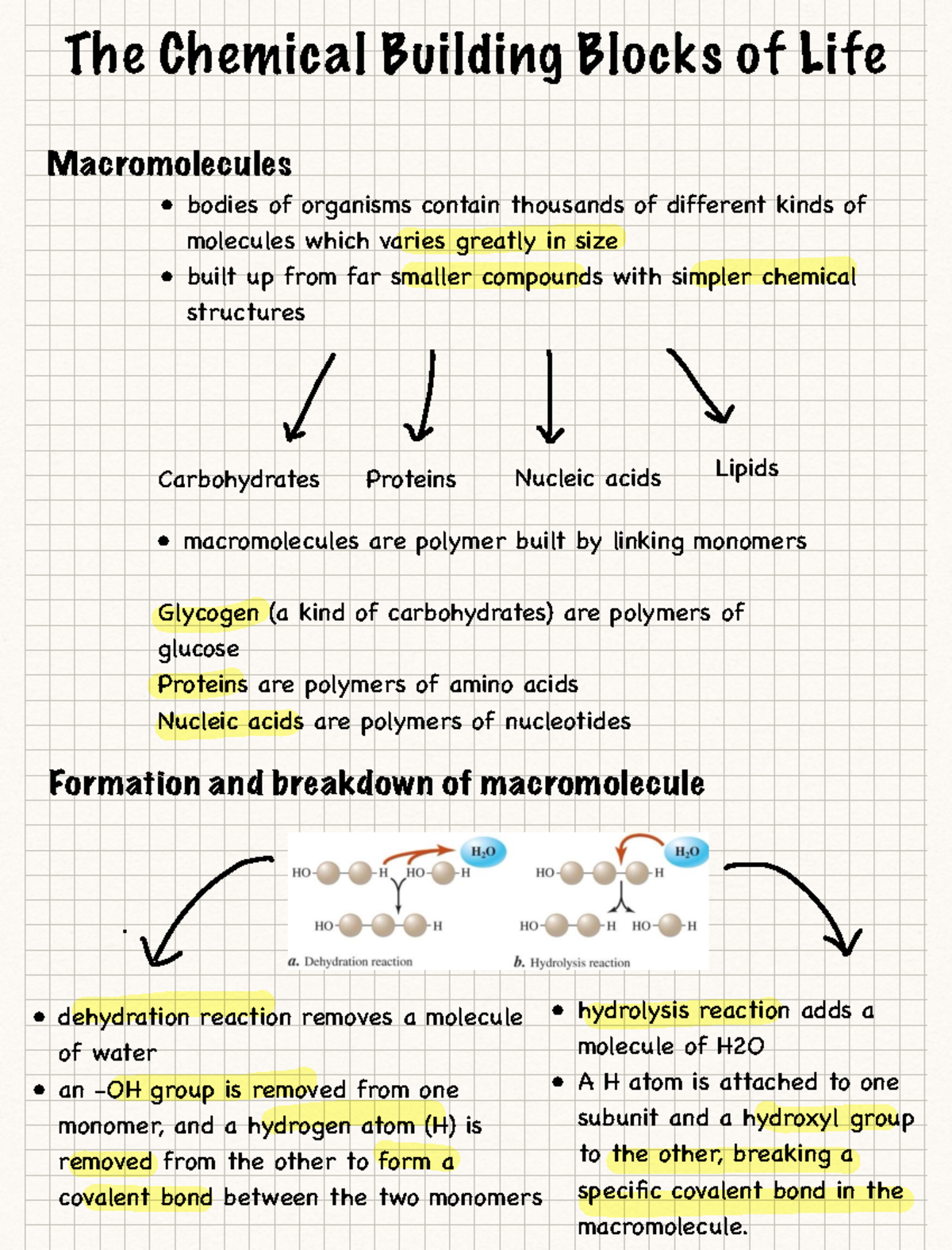 Chapter 3 The Chemical Building Blocks of Life - It ti f I ...