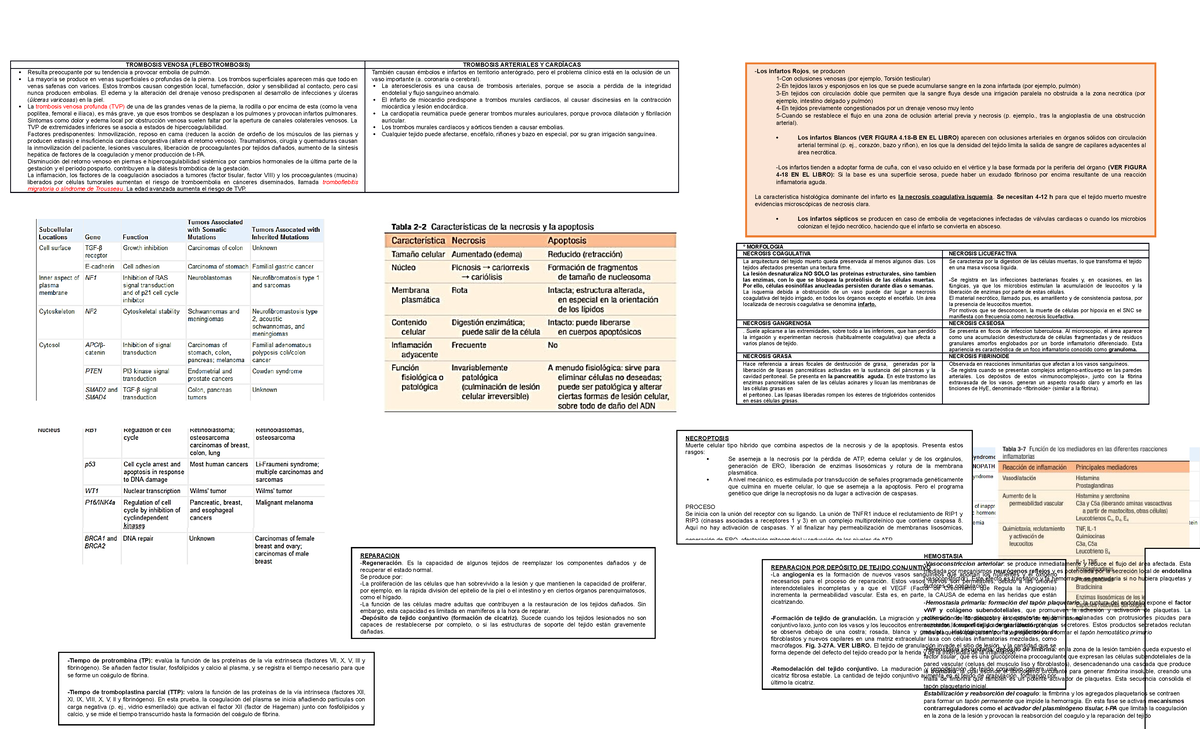 Fichas- Fisiopatologia - TROMBOSIS VENOSA (FLEBOTROMBOSIS) TROMBOSIS ...