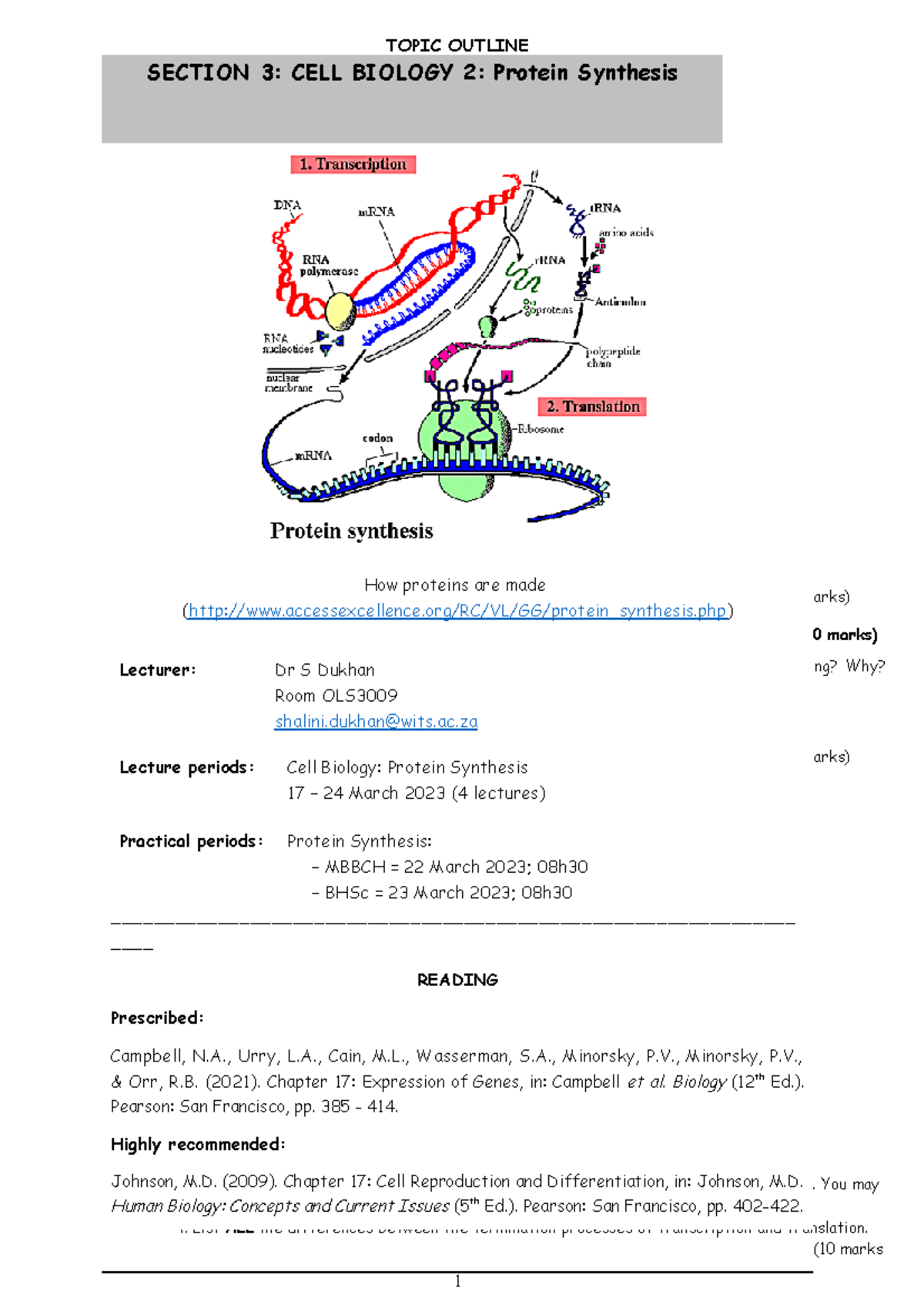 APES1001 - Practical 4 - Protein Synthesis - TOPIC OUTLINE Content ...