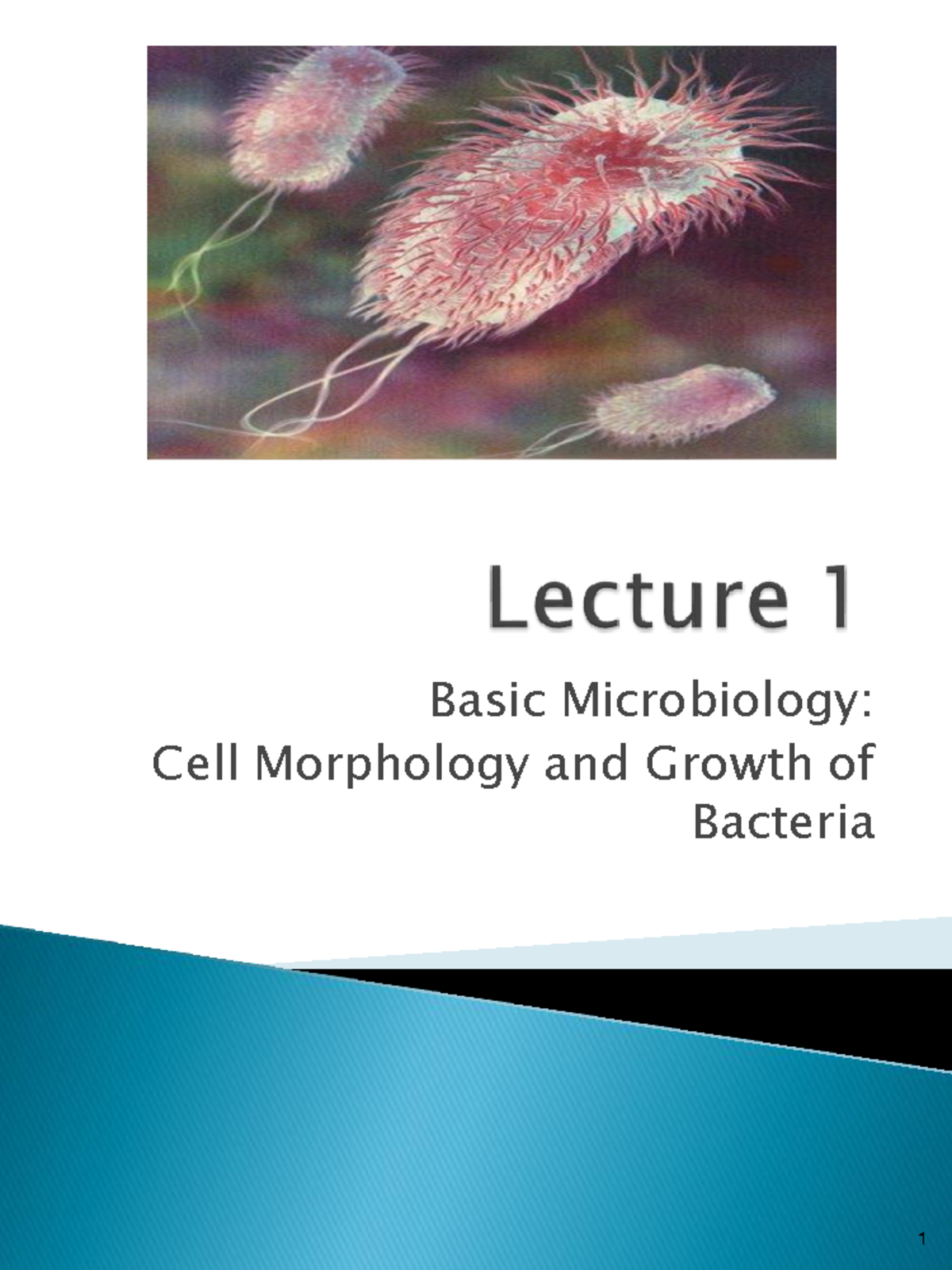 Lecture 1 2017 - Basic Microbiology: Cell Morphology and Growth of ...